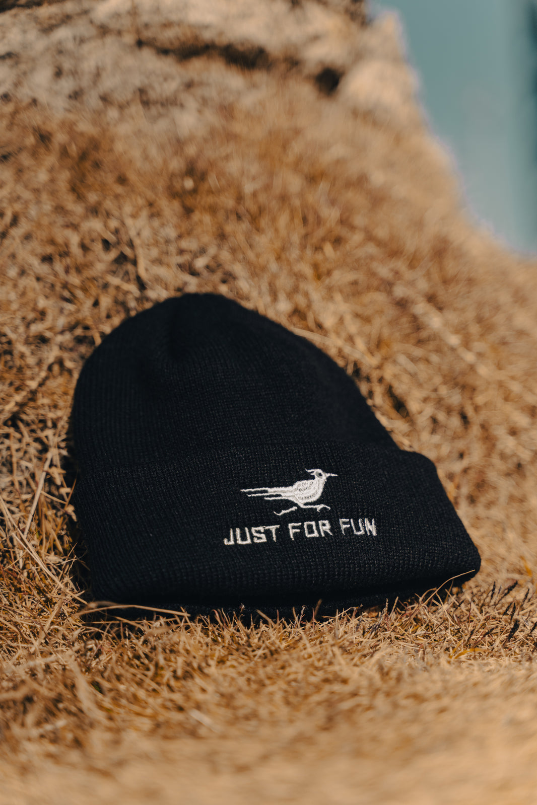 JUST FOR FUN – JustForFun